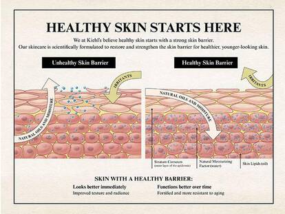 Top 5 Things You Need to Know About The Skin Barrier | Kiehl's UK